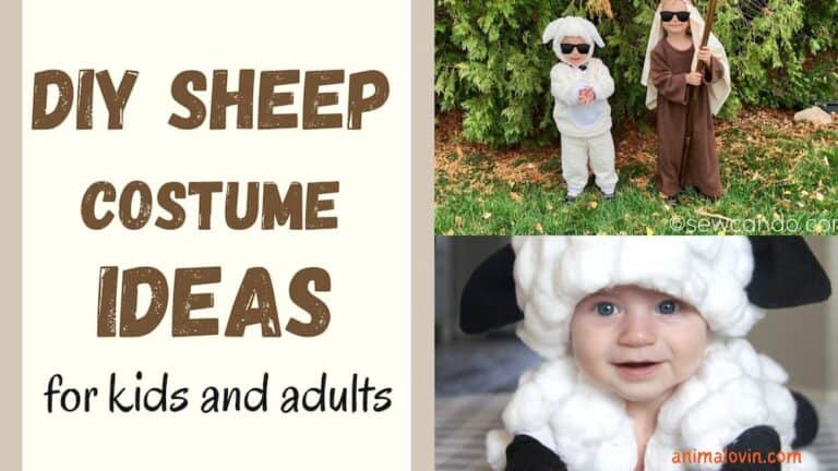 15 Cute DIY Sheep Costumes Ideas