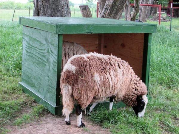 15 Super Cool DIY Mobile Sheep Shelter Ideas ( With Pictures!!)